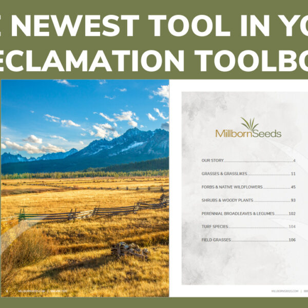 Land & Soil Reclamation Blog - Millborn Seeds