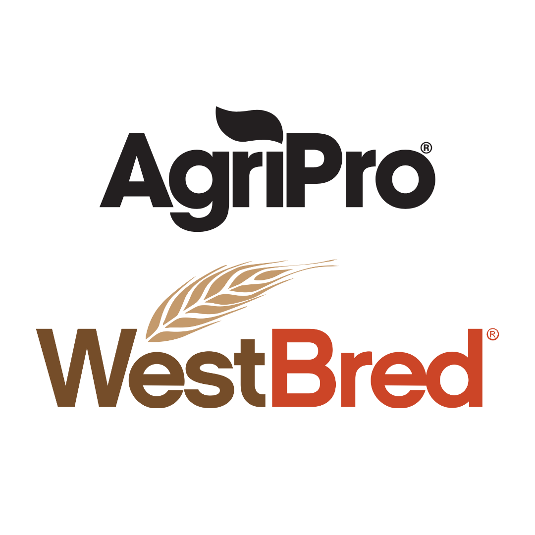 Hard Red Winter Wheat Seed - Renovo Seed